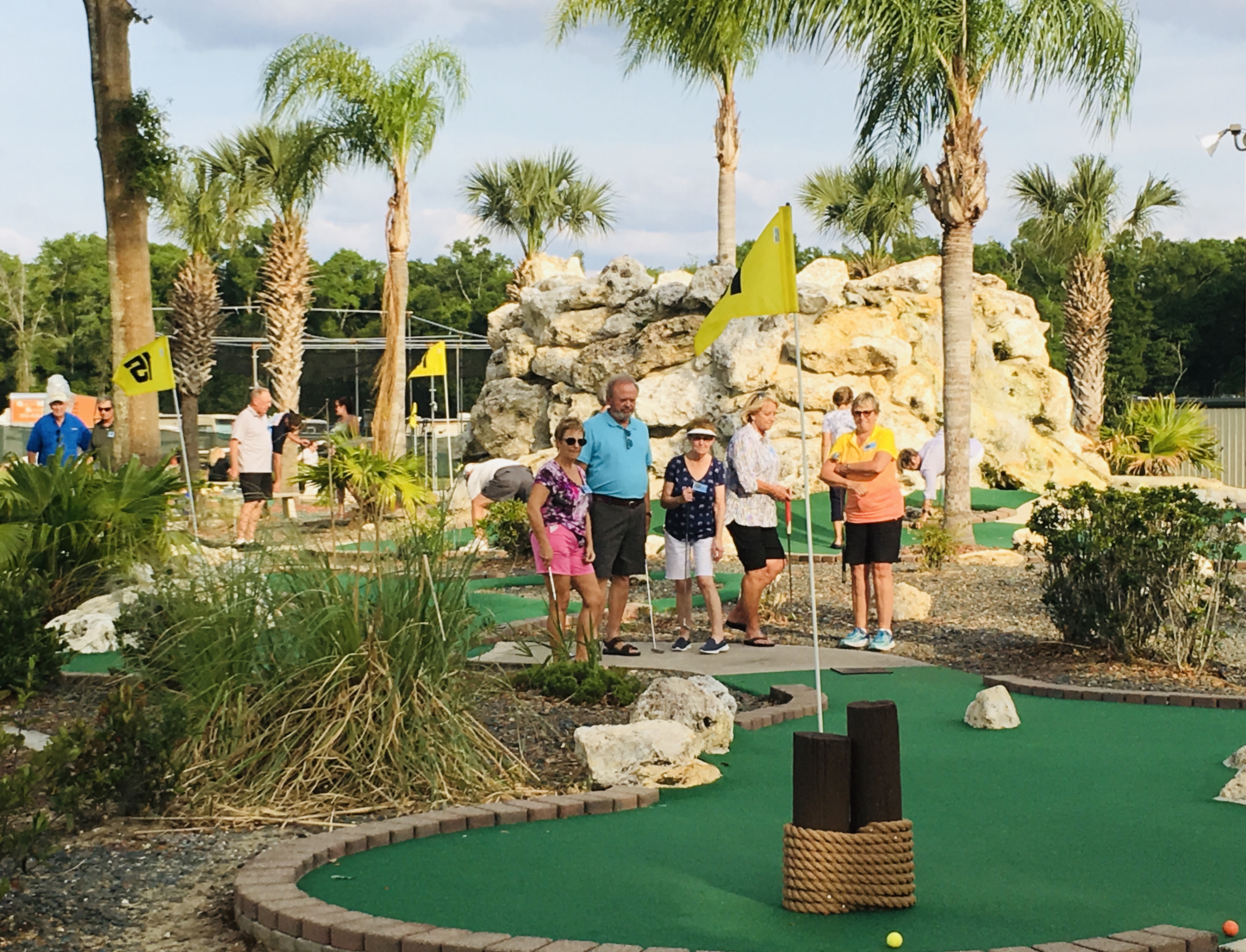 Mini Golf / Golf Parties - Tree Tops Golf and Driving Range